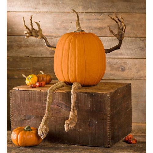 Plow & Hearth Posable Pumpkin Vine Arms and Legs Set, Includes 4 Pieces ... Plow & Hearth Posable Pumpkin Vine Arms and Legs Set, Includes 4 Pieces ...